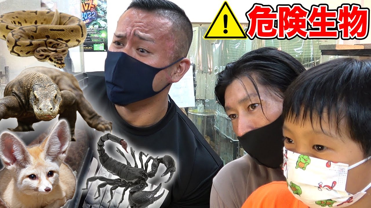 【マッスルグリル】【閲覧注意】危険生物と爬虫類VSポパイ関根！【珍獣】 - MetaFit Motion Base