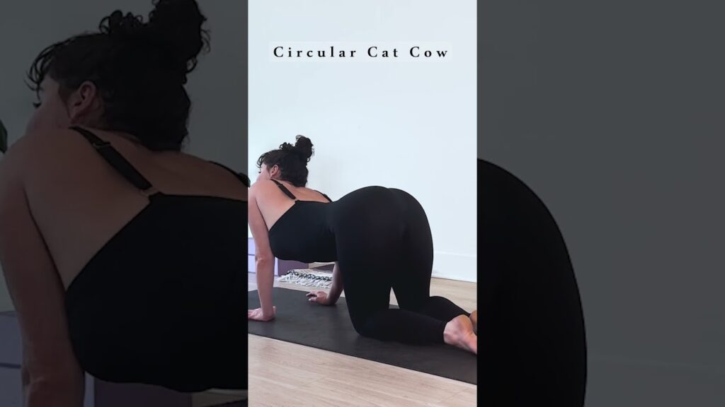 【Flow With Adee】Master Circular Cat/Cows: The Right Technique for ...