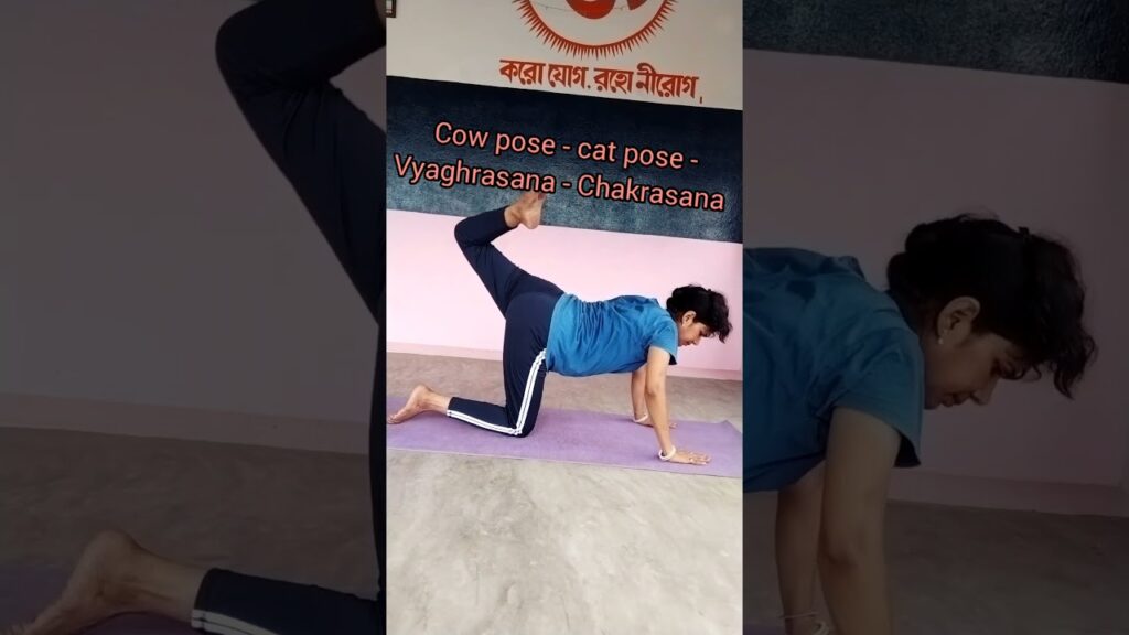 【Soma Fitness】cow pose -cat pose – byghrasana -chakrasana. #yogapose # ...