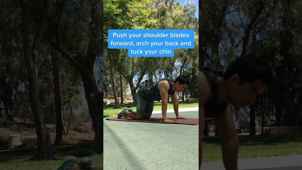 【Katlynstore】Boost Spine & Shoulder Mobility with Cat Cow Stretch # ...