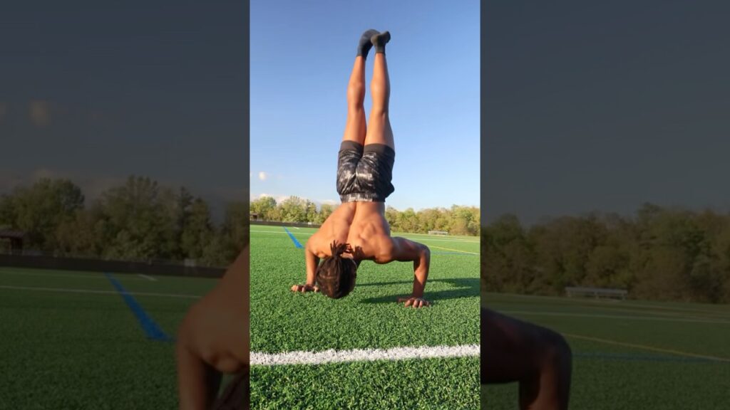 【Wan Aesthenix】Pike pushups (simplified) - MetaFit Motion Base