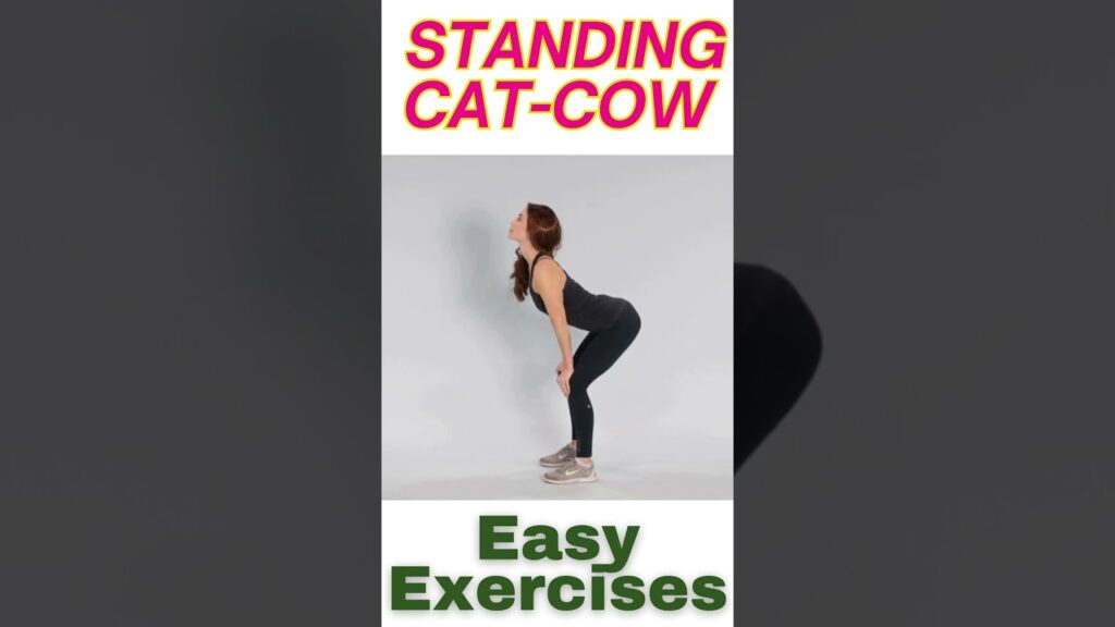 【Easy Exercises】What I Learned from Doing Cat-Cow Stretches Every ...