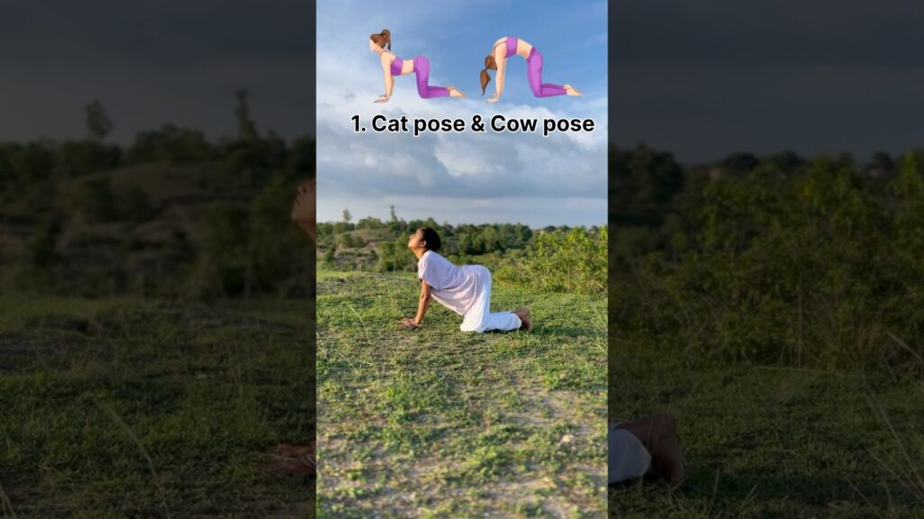 【yoga】Cat & Cow Pose , Parvatasana pose, Malasana pose #youtubeshorts # ...