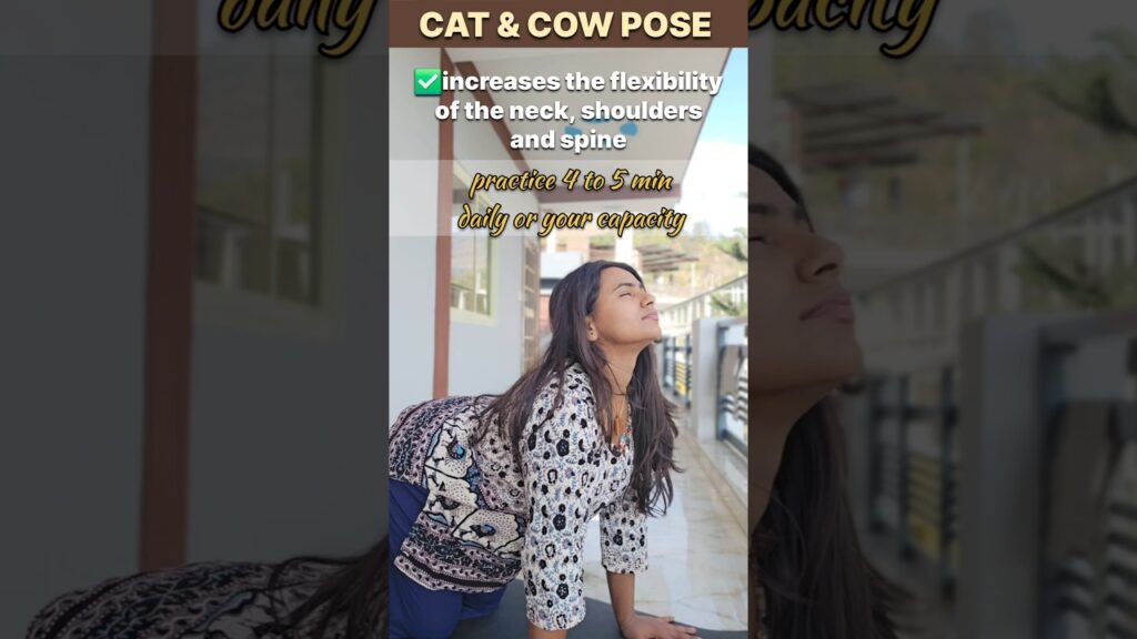【Yoga fusion 】cat and cow pose benefits #yoga #yogafusionpriyanshi # ...