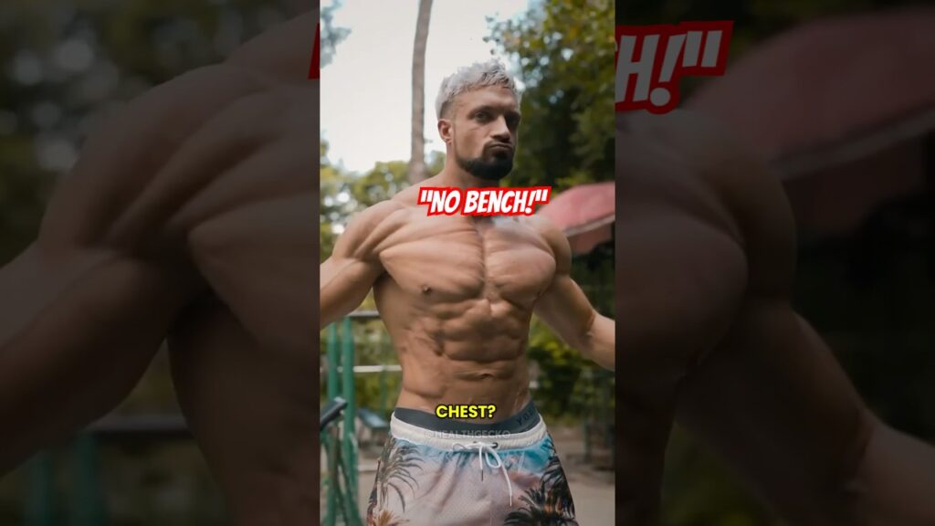 [HealthGecko] Bench Press vs Push Ups: Which Builds More Muscle? - MetaFit Motion Base