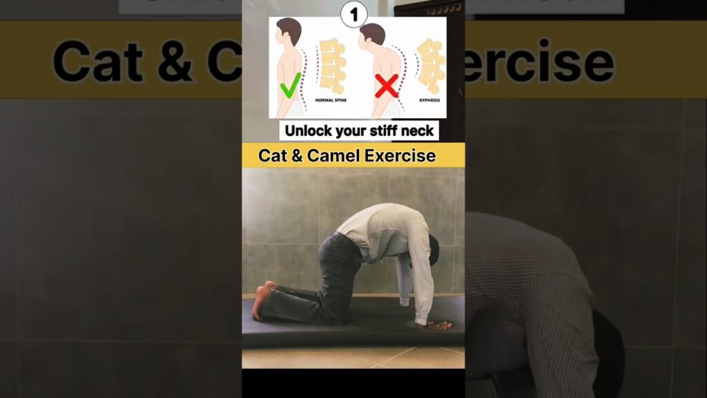 【PHYSIOTHERAPY 】”Cat and cow pose : Enhance your spine mobility and ...