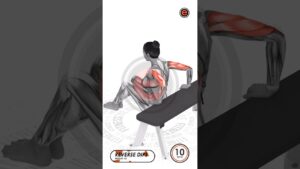 【Energy Fitness】Reverse Dips: The Secret to Huge Triceps - MetaFit ...