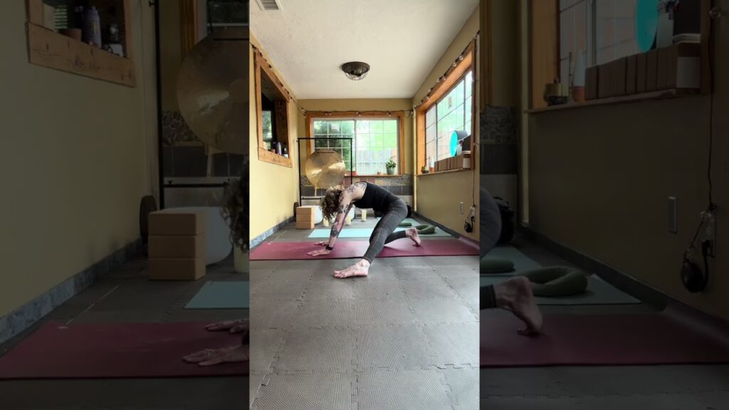 【Stacy Lewis Yoga】Cat & Cow Variation 🐾 - MetaFit Motion Base