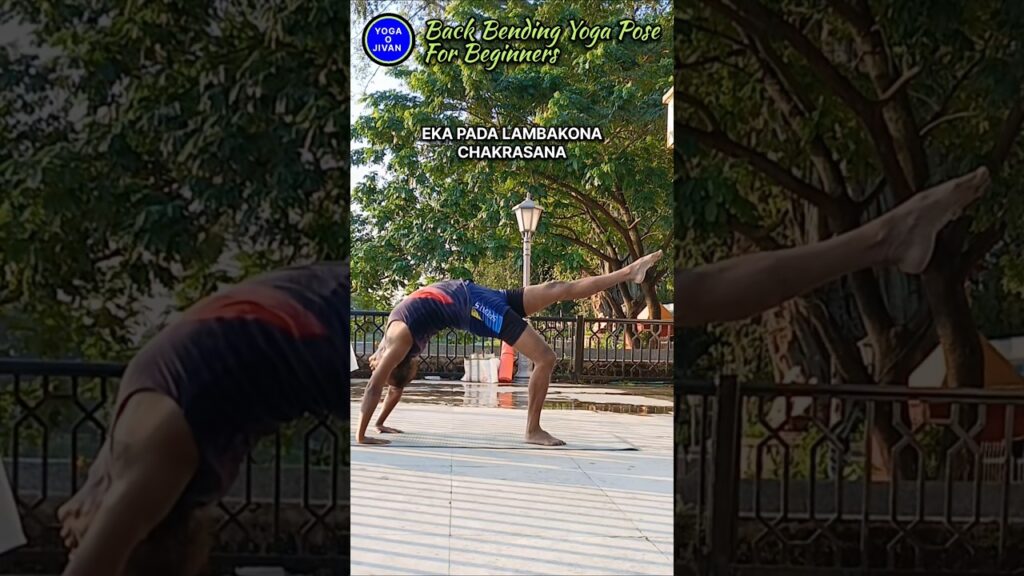 【Mari Yoga】リンパの流れを良くするポーズ 〜股関節編〜 - MetaFit Motion Base